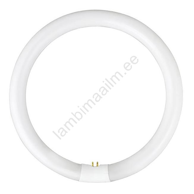 Luminofoortoru YH G10q/28W/230V 4000K - Fulgur 03042 22,5 cm | Lambimaailm